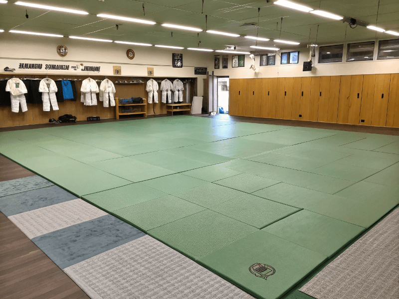 Complete Guide to Judo Mat Wholesale Decision Making - MF FLOOR